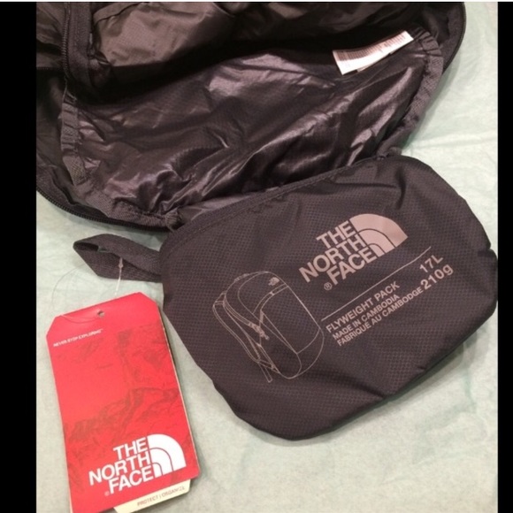 The North Face | Bags | The North Face Flyweight Pack Backpack Nwt ...